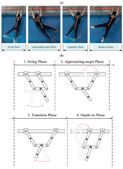 Biomimetics Free Full Text Multi Locomotion Design And Implementation Of Transverse Ledge