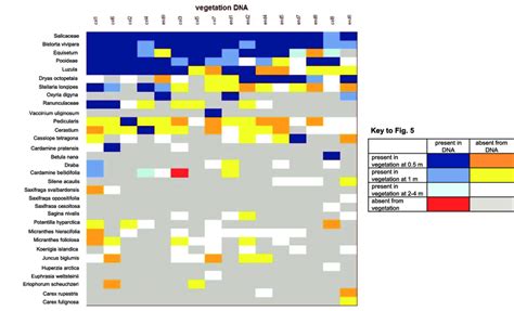 A Plot By Species Matrix Showing Representation Of Taxa In Vegetation Download Scientific