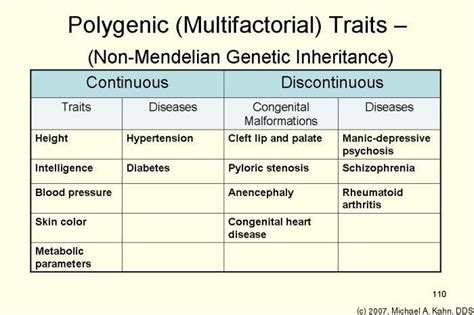 Multi Factorial Traits Lan Huynhs Portfolio