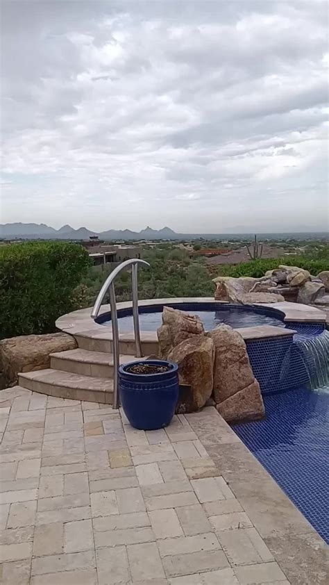 Some Quailie Quails Having A Morning Drink Album On Imgur