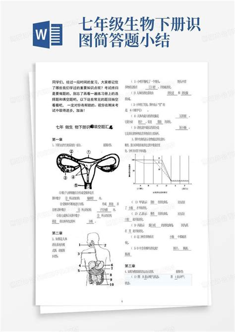 七年级生物下册识图简答题小结Word模板下载 编号larbxdek 熊猫办公