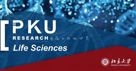 A Transcriptome Based Single Cell Biological Age Model And Resource For