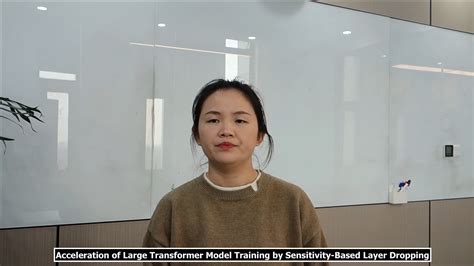 Underline Acceleration Of Large Transformer Model Training By Sensitivity Based Layer Dropping