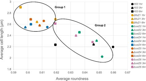 Figure 1 From Archaeal Tubulin Like Proteins Modify Cell Shape In