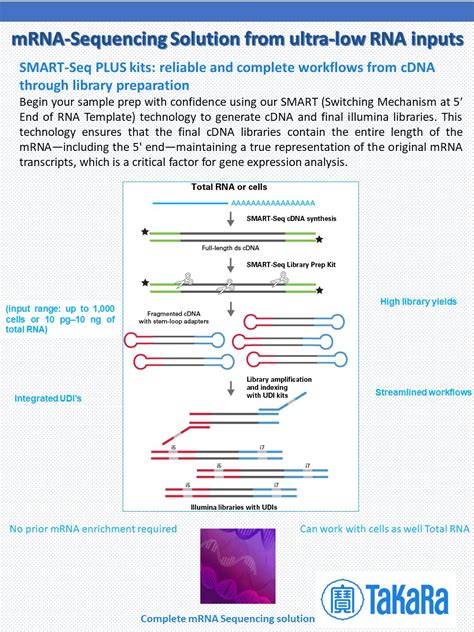 When We Do Mrna Sequencing Prior Enrichment Of Mrna From Total Rna… Dss Takara Bio India Pvt Ltd