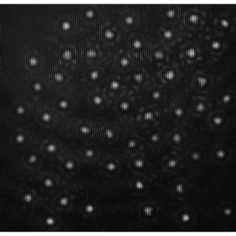 Interference Fringe Patterns Of 60 Injection Locked Vcsels In A