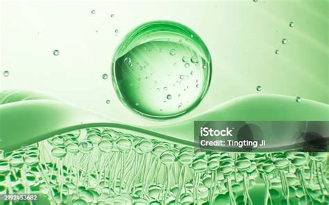 녹색 피부에 녹색 유리 구체 또는 세포 개념 스킨 케어 화장품 배경 3d 렌더링 0명에 대한 스톡 사진 및 기타 이미지 0명 3차원 형태 건강관리와 의술 Istock