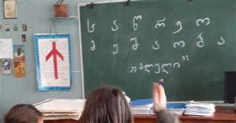 ნინელის ბლოგი პროექტი ბიოქიმია მომავლისათვის აკმე წყალტუბოს N 2 საჯარო სკოლა საწრეო მუშაობა