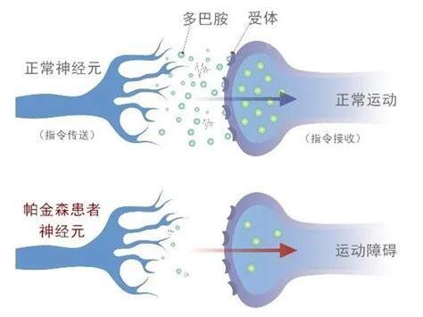 多巴胺一个让你快乐的神奇小分子 自主发布 生物在线 Lab on Web