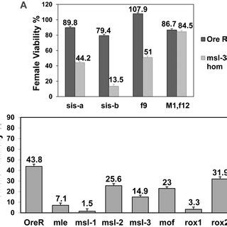 Msls Act Early In The Female Sex Determination Process And All Key Download Scientific Diagram