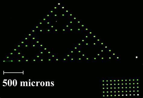 Custom DNA Microarray SonoPlot