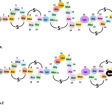 Primary Structure Of Pediocin Pa 1 With 44 Amino Acids With Two Download Scientific Diagram