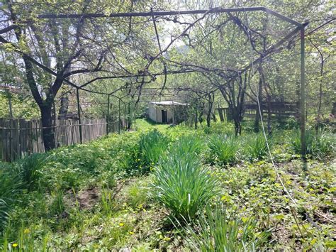 ხაშური ჩემი ქალაქია Added A New Photo ხაშური ჩემი ქალაქია