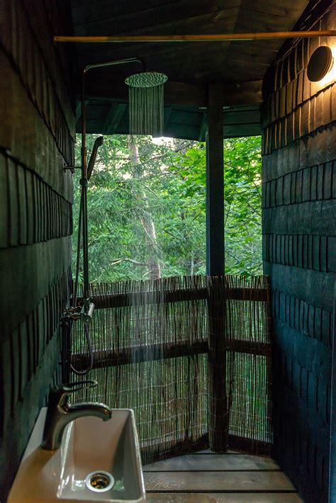 A Tree House Sauna In A Pine Tree