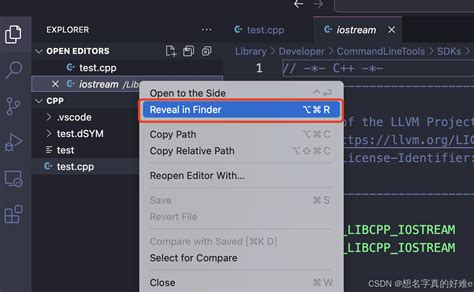 【mac Os】vscode 配置 C 万能头文件 Bitsstdchvscode万能头文件 Csdn博客