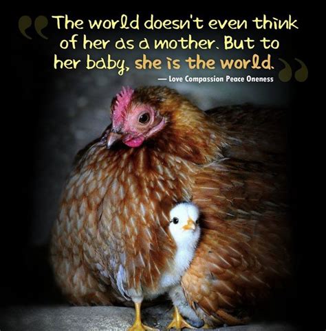 Naresh M🟢 On Linkedin Love Mom