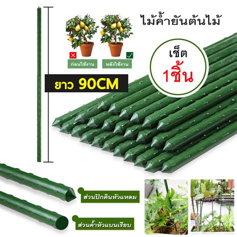 ไม้ค้ำยันต้นไม้ ไม้ค้ำต้นไม้ ค้างต้นไม้ ซุ้มต้นไม้ ค้างผัก Plants Support Stick หนา 11 มม ยาว