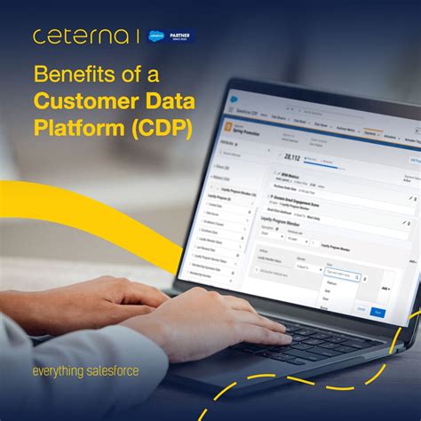 Ceterna Asia On Linkedin Salesforce Salesforcecdp Cdp Crm Marketing Data Roi