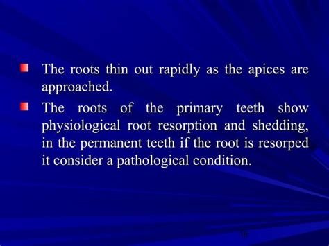 Primary Teeth And Occlusion Ppt Dental Health Diseases And Conditions