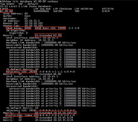 Segment Routing Extension With Igp Is Is In Ocnos Ip Infusion