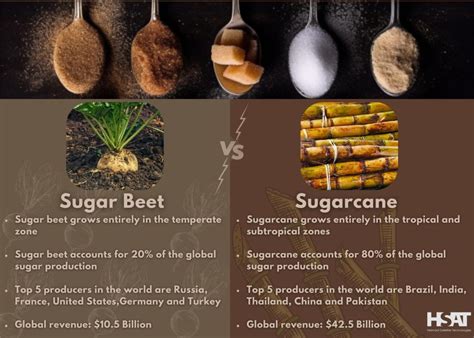 Sugar Beet Securing A Prominent Position In The Ancient Sugar Industry To Meet Rising Demands