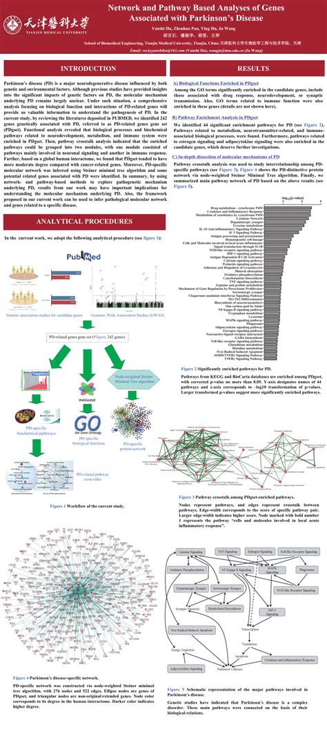 Pdf Network And Pathway Based Analyses Of Genes Associated With