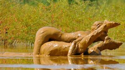 Sativa Erotic In Deep Clay Ultimate Edit Sativa Really Brings This New Location To Life UMD