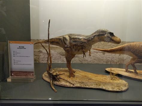 Gigantoraptor Vs T Rex