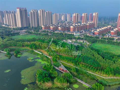 安徽亳州：湿地生态公园美如画 人民图片网