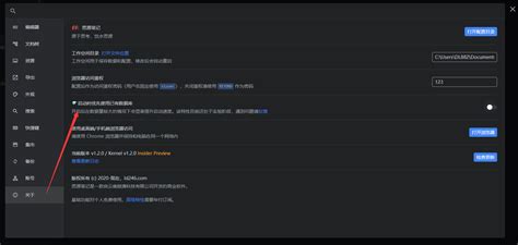 更新a13后，一个笔记本出现异常 · Issue 681 · Siyuan Noteinsider · Github