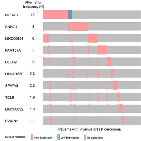 Interaction Network Of Lncrna Mirna Mrna In Patients With Invasive