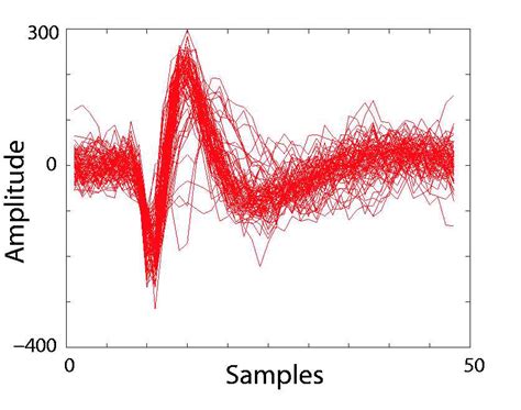 A Fast Coarse Grained Clustering By Ssc Provides 2 Clusters A