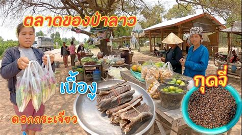 ຕະຫຼາດບ້ານນາ ແຂວງສະຫວັນນະເຂດ 🇱🇦 ตลาดของป่าลาว สะหวันนะเขต มีเนื้องูมาขายด้วย Youtube