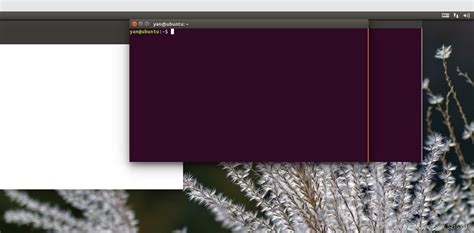 ros 问题（2）：解决了bash home yan catkin ws txt devel setup bash 没有那个文件或目录