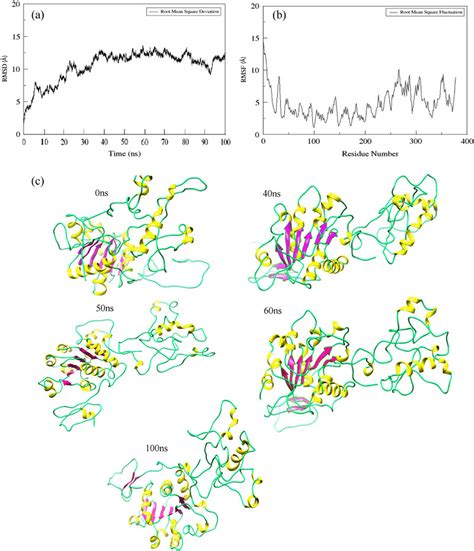 Trajectory Analysis Of The Simulated Ligand Bound Protein Complex A