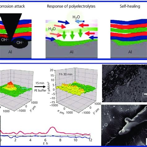 Selected Examples Of Semiconductor Polyelectrolyte Applied Systems Download Scientific Diagram