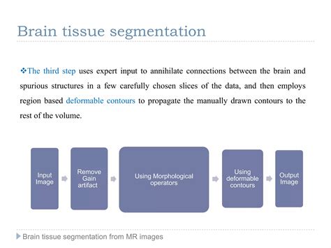 Brain Tissue Segmentation From Mr Images Ppt