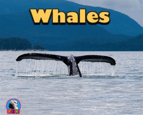 Whales Powerpoint And Activities Teaching Resources