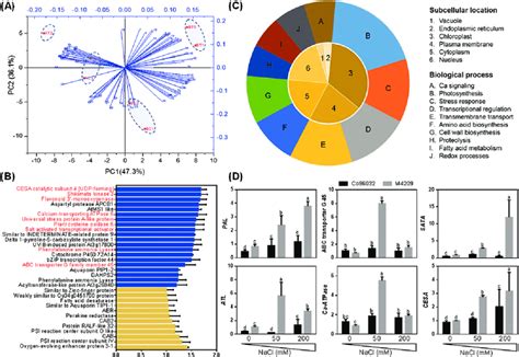 Hierarchical Clustering And Principal Component Analysis PCA Of Download Scientific Diagram