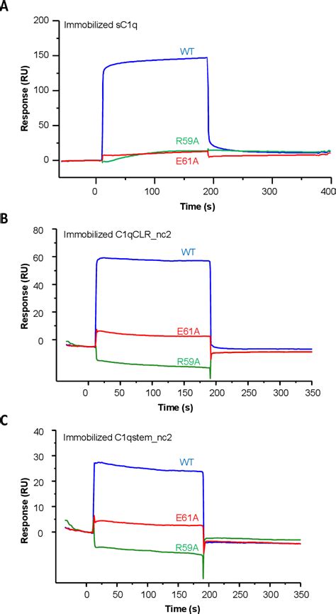 Figure 6 From Molecular Basis Of Complement C1q Collagen Like Region Interaction With The
