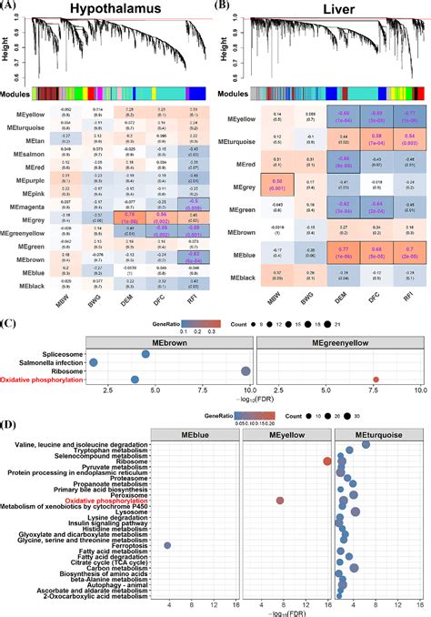 Figure 1 From Multi Tissue Transcriptome Profiling Linked The Association Between Tissue