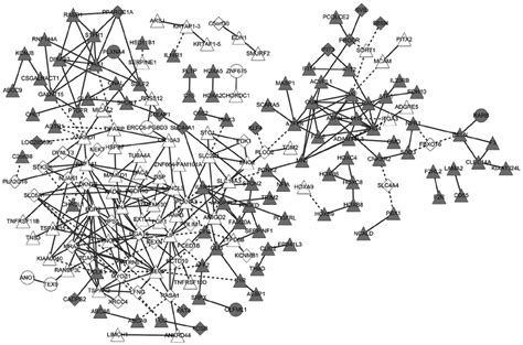 Gene Co‑expression Network Grey Nodes Downregulated Genes White