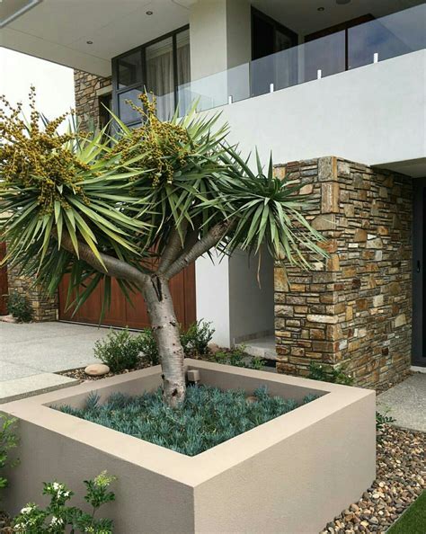 Tree In Concrete Planter Modern Landscape Design Rendered Planters