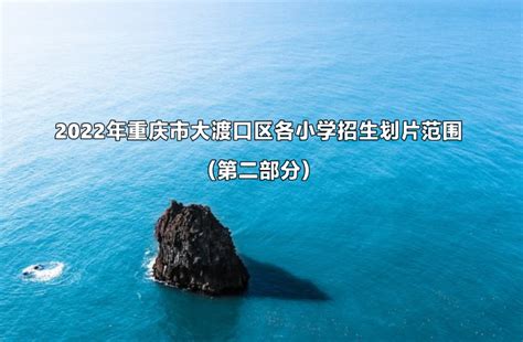 2022年重庆市大渡口区各小学招生划片范围一览第二部分