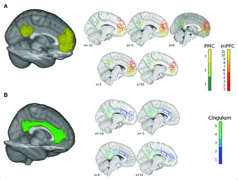 Functional And Structural Regions Of Interests Rois A Medial Download Scientific Diagram