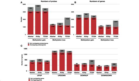 Number Of Genes And Probes In The Three Dna Methylation Datasets Download Scientific Diagram