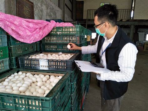 雞蛋芬普尼超標 46萬台斤流入雙北 新聞 Rti 中央廣播電臺