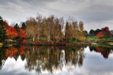 картинки пейзаж дерево воды природа облако утро лист цветок озеро река Пруд