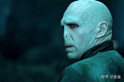 伏地魔蛇脸 伏地的蛇 伏地的杖 大山谷图库